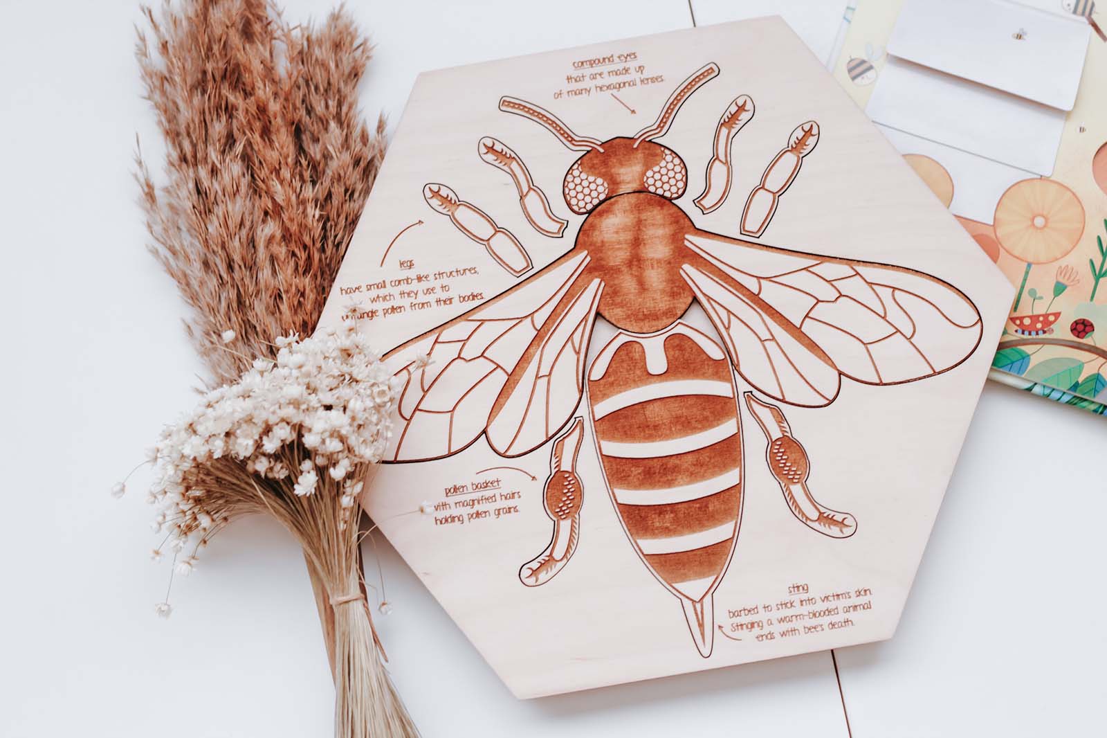 Busy Bee's Anatomy Puzzle – LLUIE