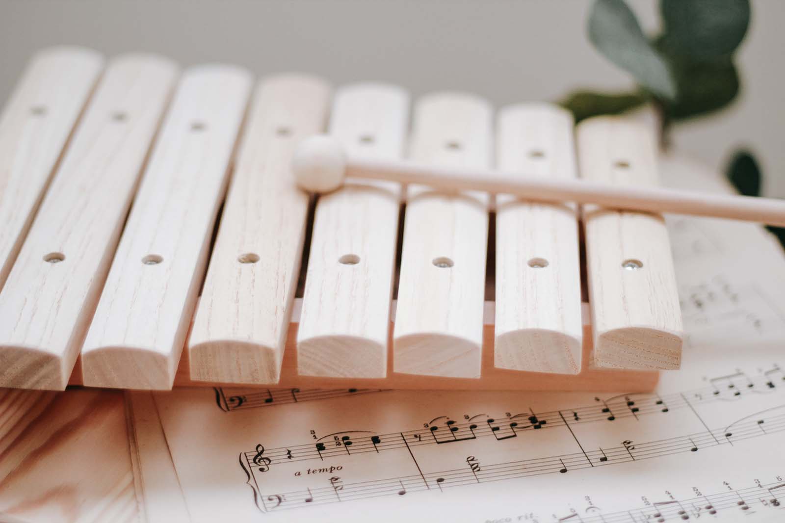 Wooden Xylophone – LLUIE